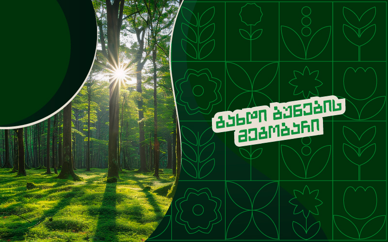 Credo Bank - Financial Services in Georgia