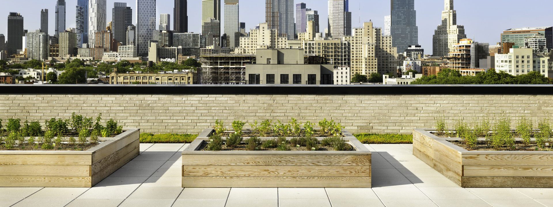 499 President Wants You to “Curate Local” in Gowanus | News | The ...