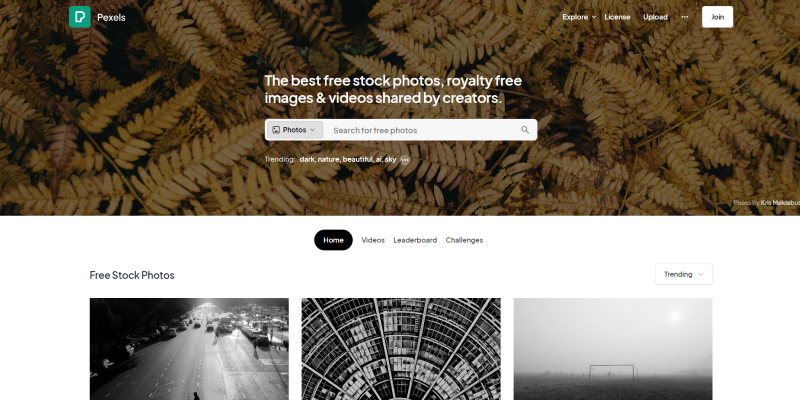Top 10 Best Free Stock Photo Websites - Oksuro