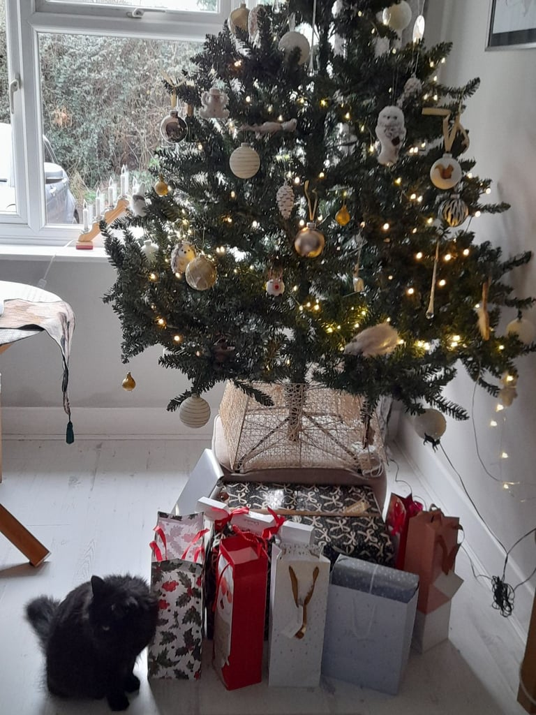 7ft Colarado Spruce Luxury Artificial Christmas Tree | in Lymington ...