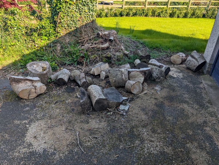 Logs from Ash Tree | in Ballinderry Upper, County Antrim | Gumtree