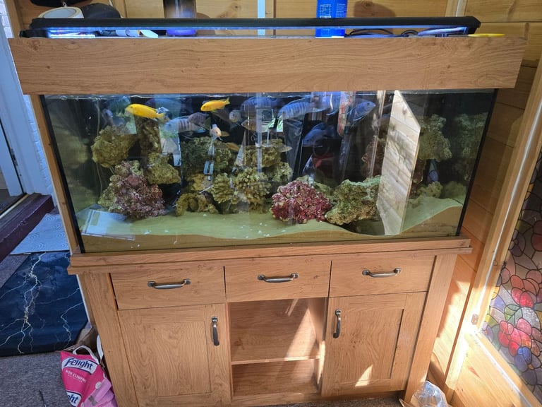 Full fish tank set up | in Christchurch, Dorset | Gumtree