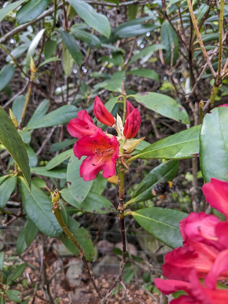 FREE STUFF!! | in Montrose, Angus | Gumtree