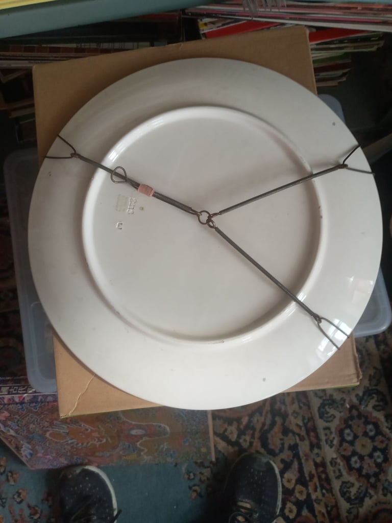 LARGE VINTAGE WEST GERMANY PLATE | in West Hampstead, London | Gumtree