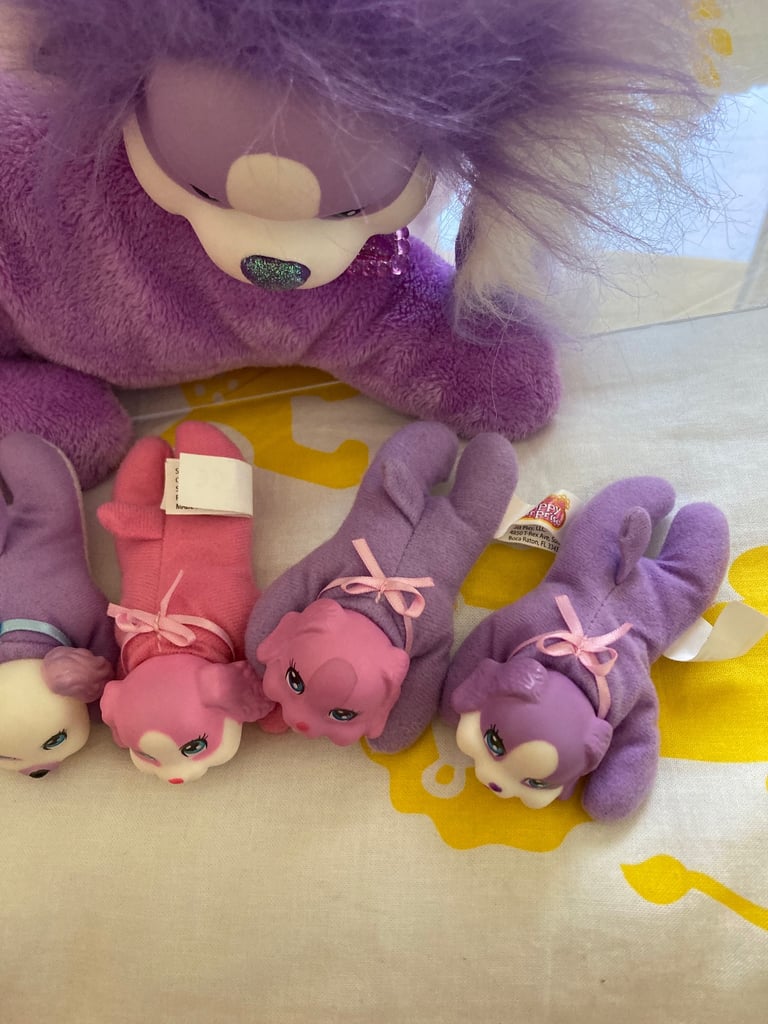 Puppy surprise and kitty surprise. | in Tranent, East Lothian | Gumtree