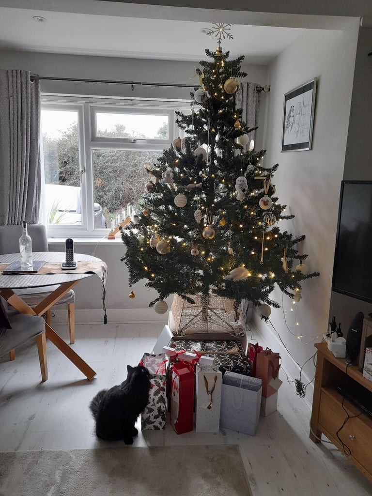 7ft Colarado Spruce Luxury Artificial Christmas Tree | in Lymington ...