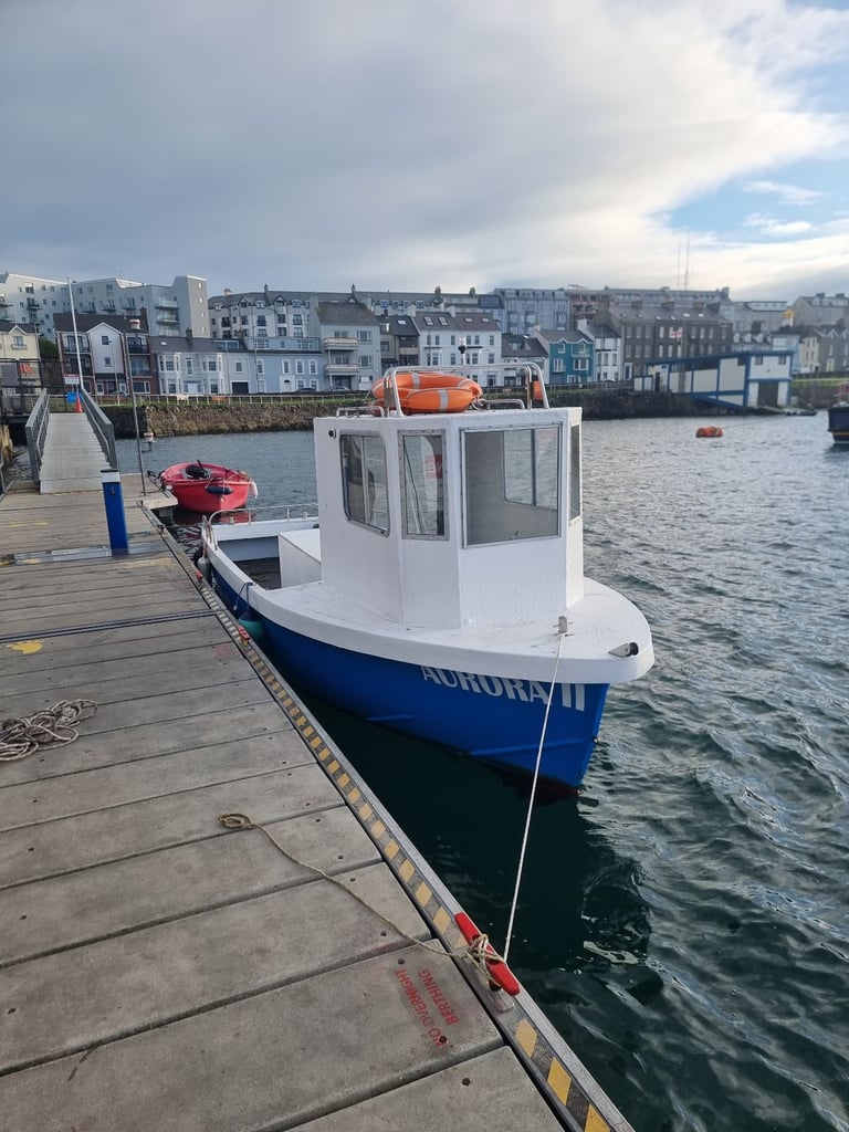 Boat 25 foot with trailer | in Ballymoney, County Antrim | Gumtree