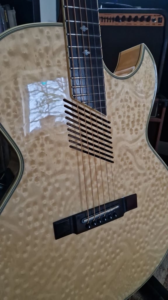 Washburn EA36 Festival Series. | in Exeter, Devon | Gumtree