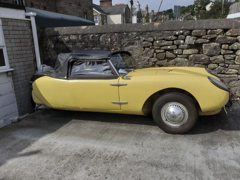 Berkeley T60 3 wheel wheeled wheeler car bubble classic sports ...