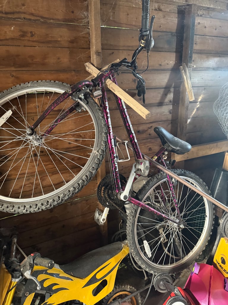 Ladies/girls bike free | in Buckhaven, Fife | Gumtree