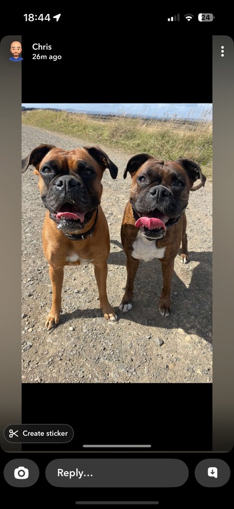 Only girls available | in Durham, County Durham | Gumtree