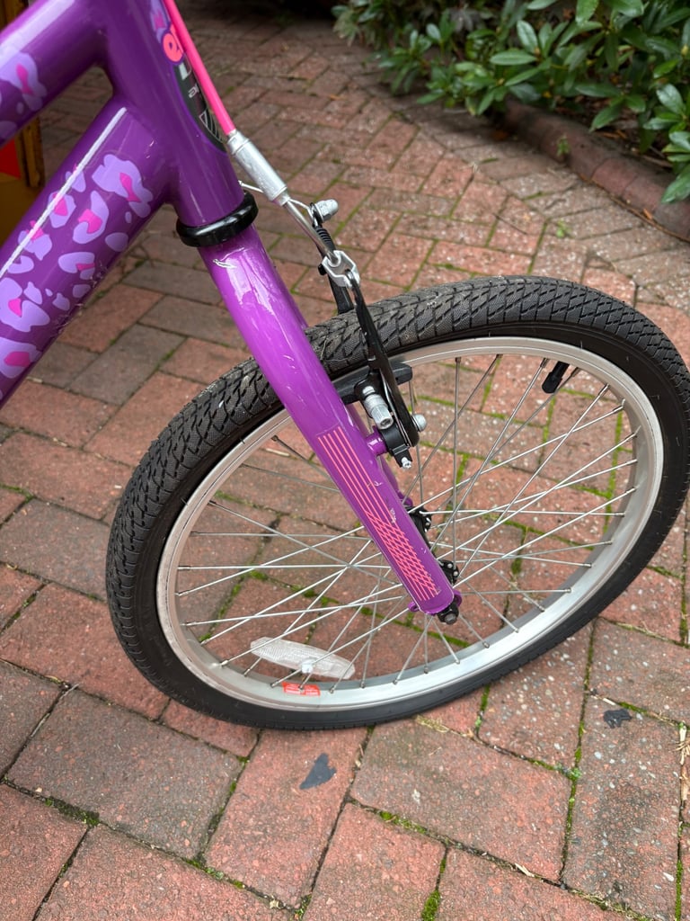Kids Apollo Envy bike in purple | in Bonnybridge, Falkirk | Gumtree