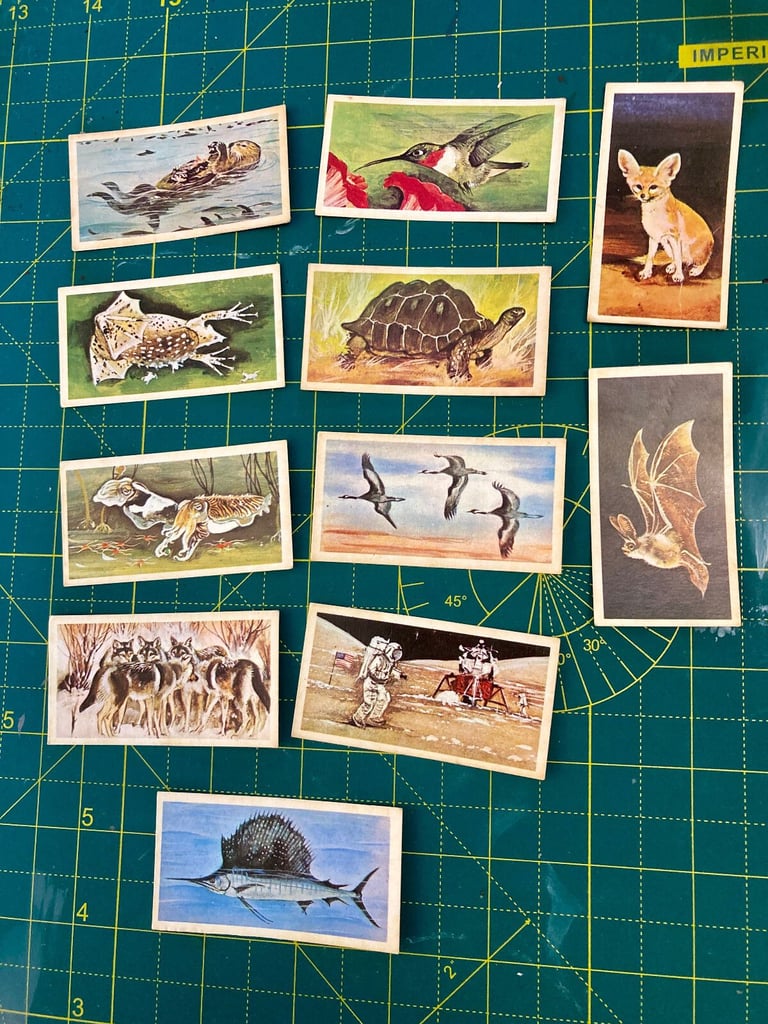 Brooke bond pg tips loose cards.Many (Blue back) various part sets ...