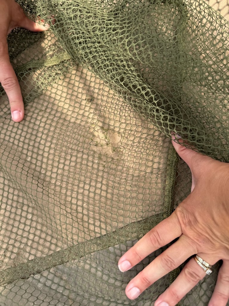Carp landing nets | in Woodbridge, Suffolk | Gumtree