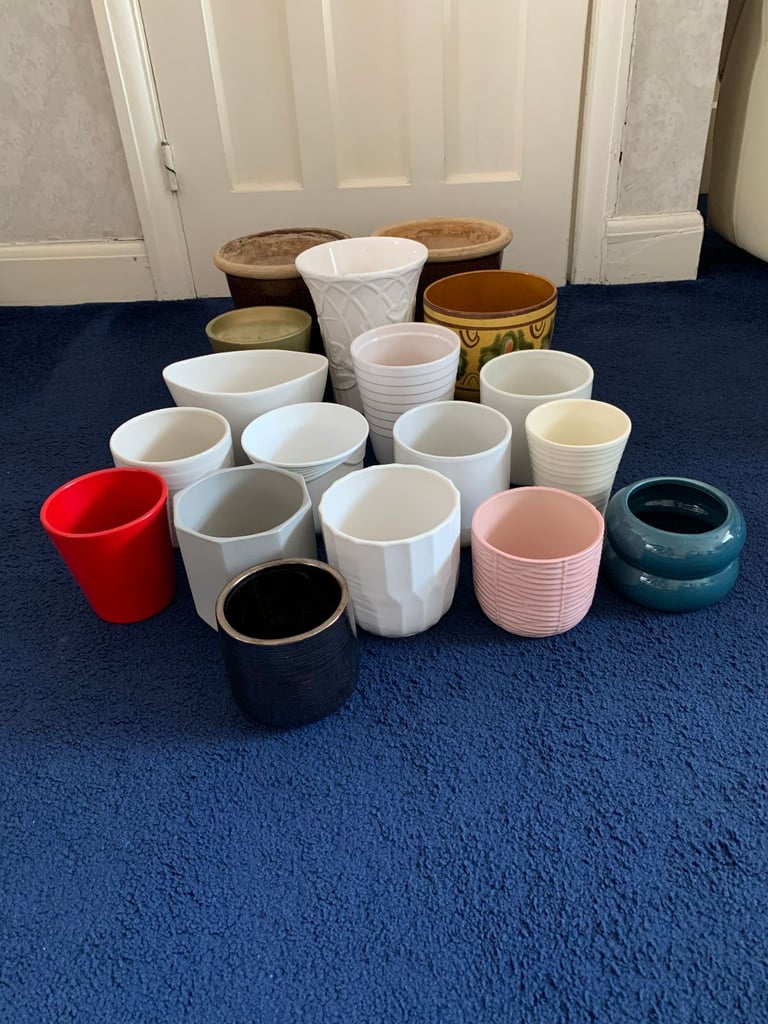 Plant Pots | in Clapham, London | Gumtree