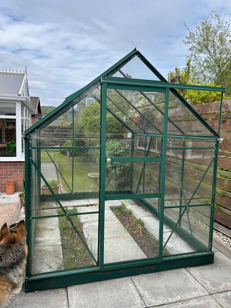 Greenhouse 8x6 ft | in Carrickfergus, County Antrim | Gumtree
