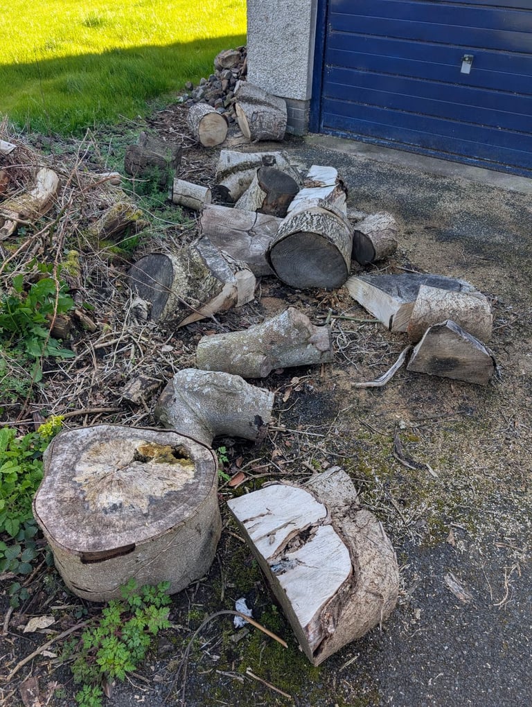 Logs from Ash Tree | in Ballinderry Upper, County Antrim | Gumtree