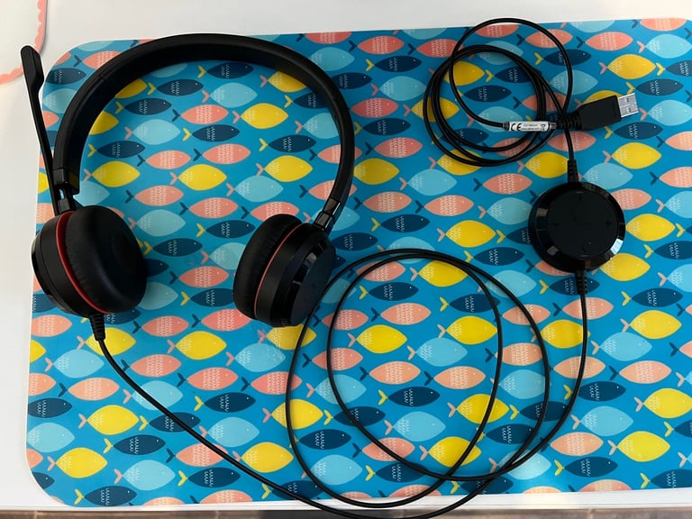 Jabra Evolve 20 headset, USB-A, MS Teams certified, Model: HSC016 | in ...