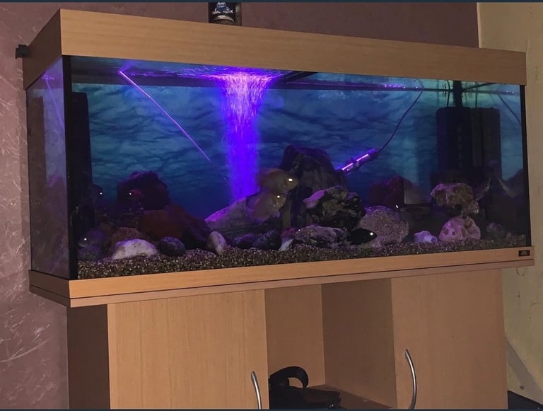 Full fish tank set up | in Sandwell, West Midlands | Gumtree