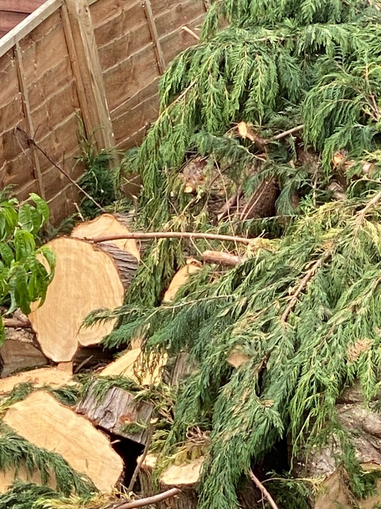 Free Large wooden logs in the backyard. Must also clear away leaves ...