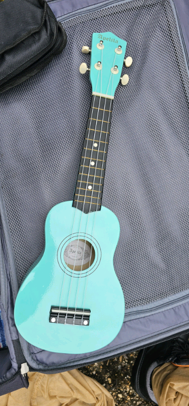 Apelila 21" Acoustic Ukulele Turquoise Sea-Foam Color With Soft Case ...