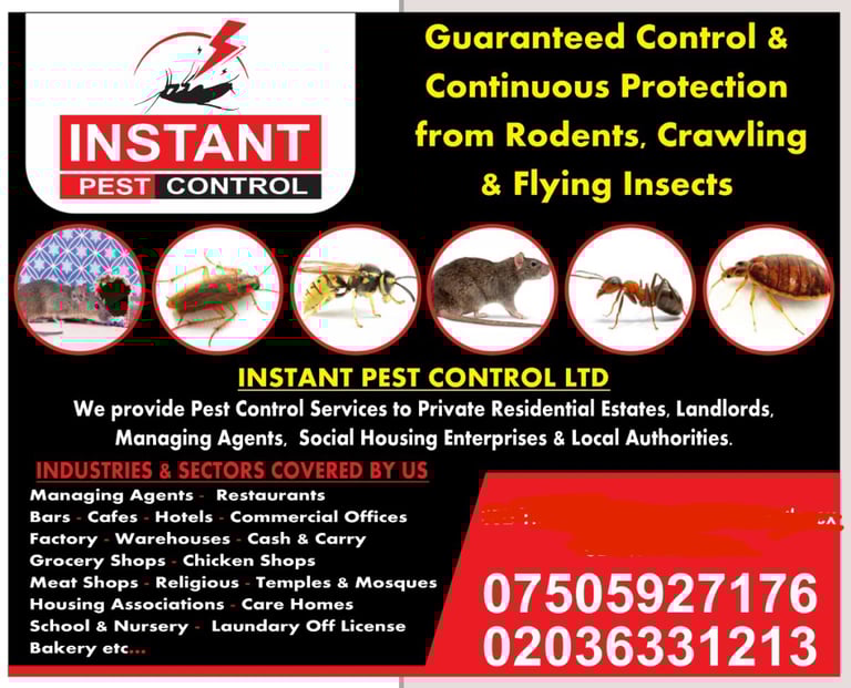100%Guaranteed Chingford Chigwell Romford Pest Control Bedbug Rat Mice ...