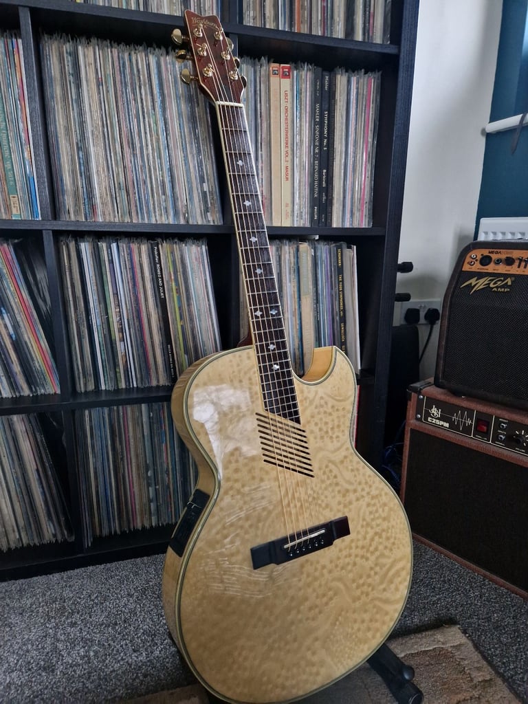 Washburn EA36 Festival Series. | in Exeter, Devon | Gumtree