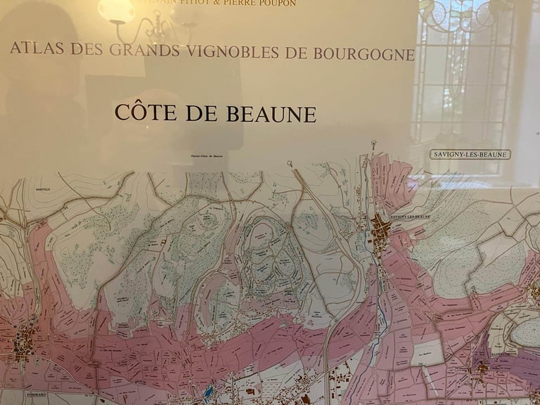 Beautiful maps of Burgundy country | in Bradford, West Yorkshire | Gumtree
