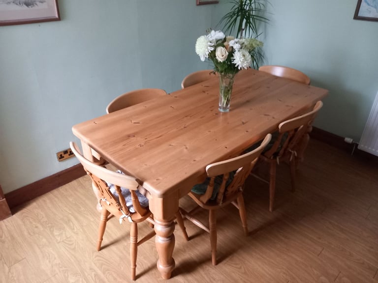 6 dining chairs gumtree store
