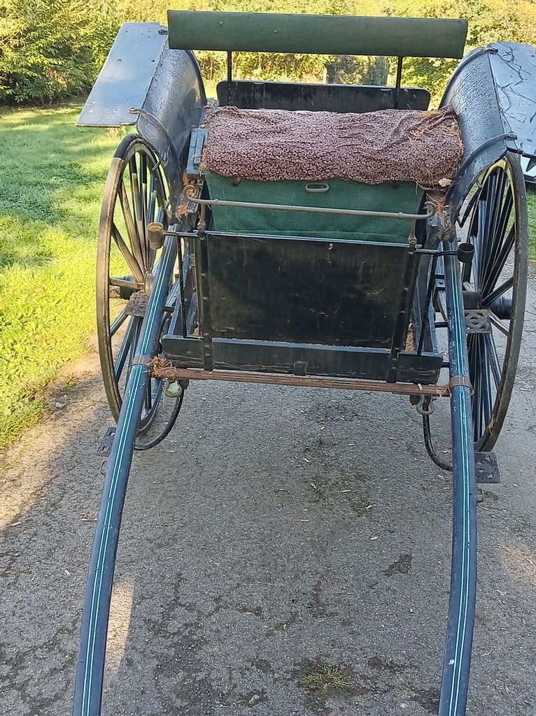 Horse and cart | in Staplehurst, Kent | Gumtree