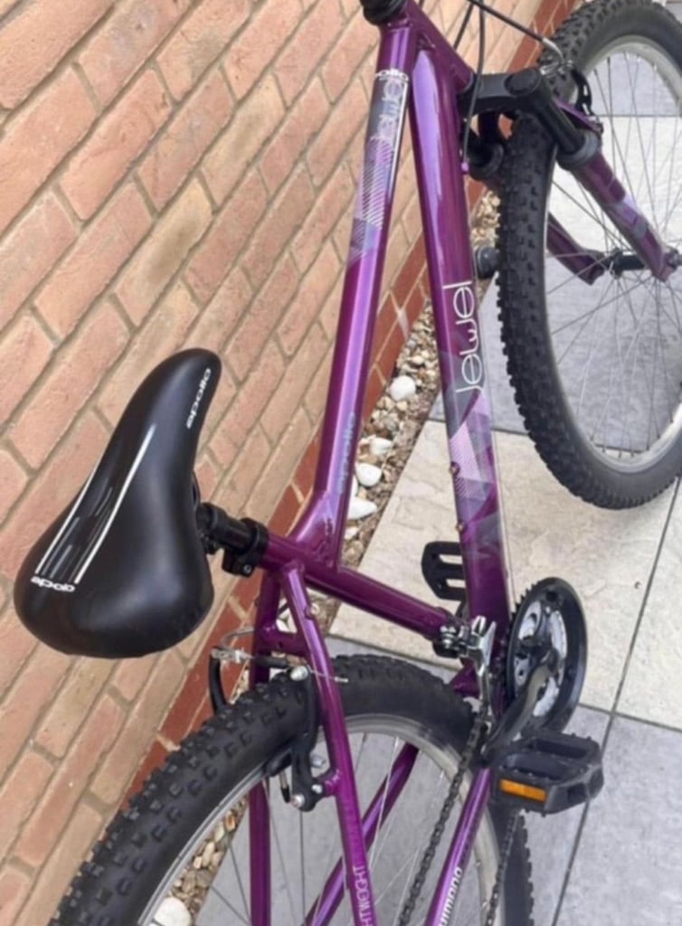 Apollo Jewel Womens Mountain Bike - Purple - L Frame | in Milton Keynes ...