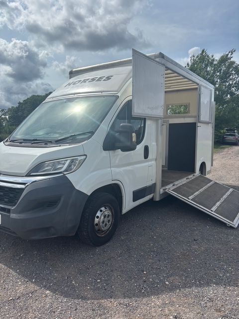 3.5t 2016 Citroen relay Horsebox | in Marton-in-Cleveland, North ...