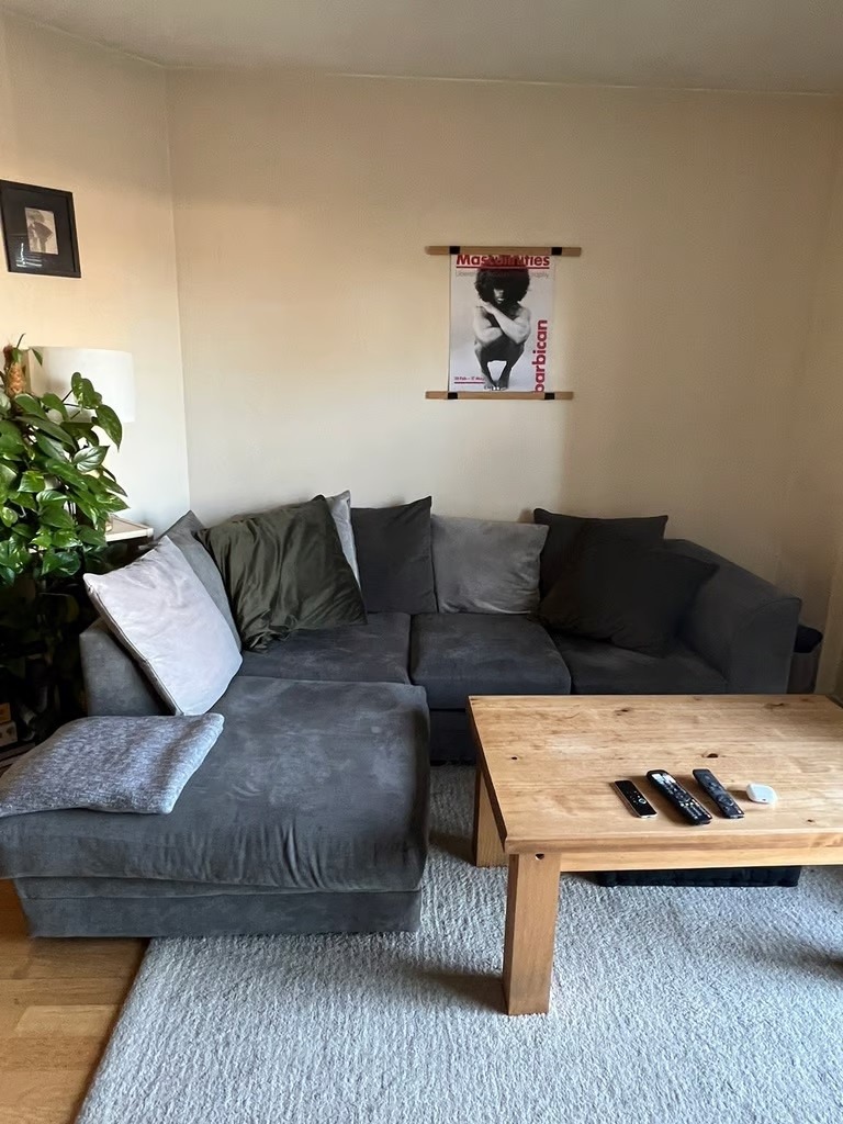 2nd Hand Corner Sofa London | Baci Living Room