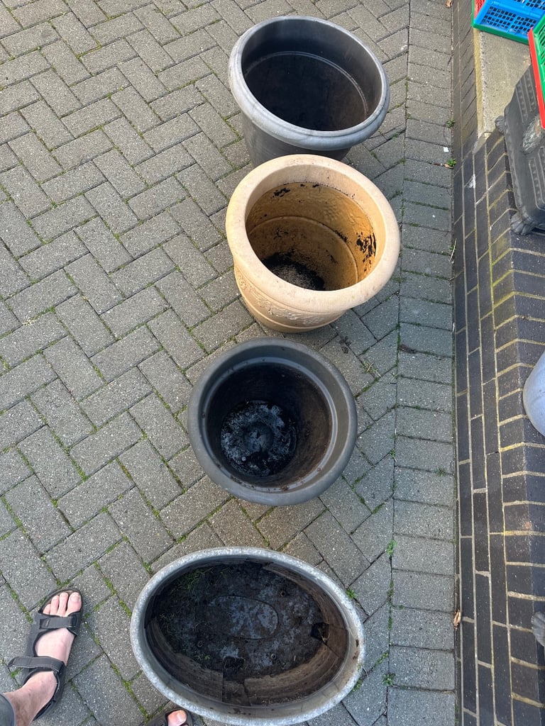 Plant Pots | in Borrowstounness, Falkirk | Gumtree