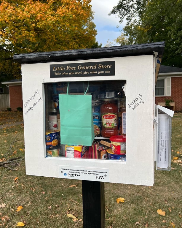 Little Free Pantry - Local mom is helping Indy tackle food insecurity