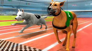 👋 Real Dog Racing Simulator 3D Play Now For Free at LupyGames.com!