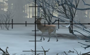 👋 Forest Hunter Play Now For Free at LupyGames.com!