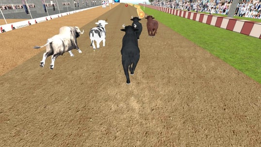 👋 Angry Bull Racing Play Now For Free at LupyGames.com!