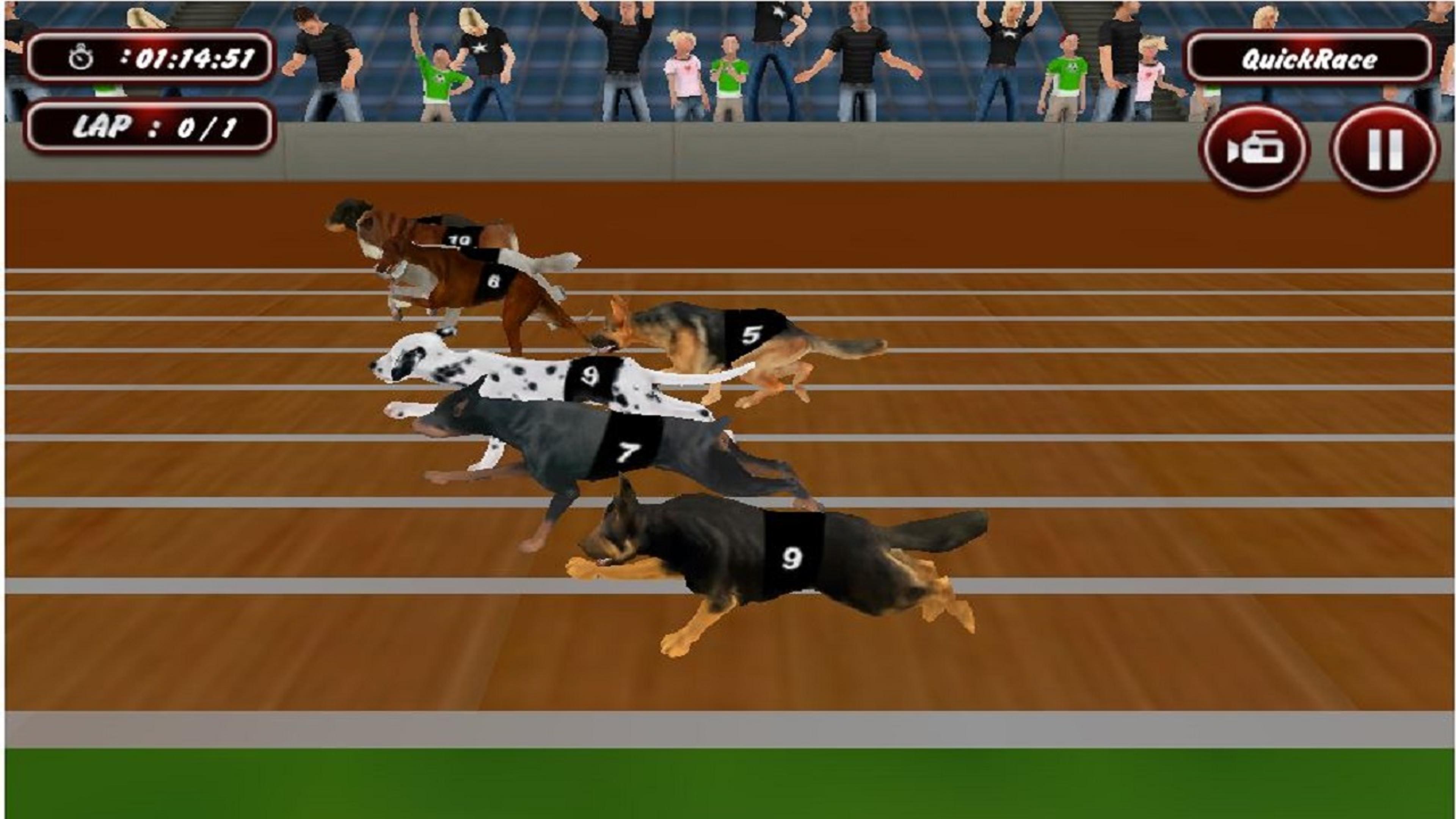 👋 Real Dog Racing Simulator Game 2020 Play Now For Free at LupyGames.com!
