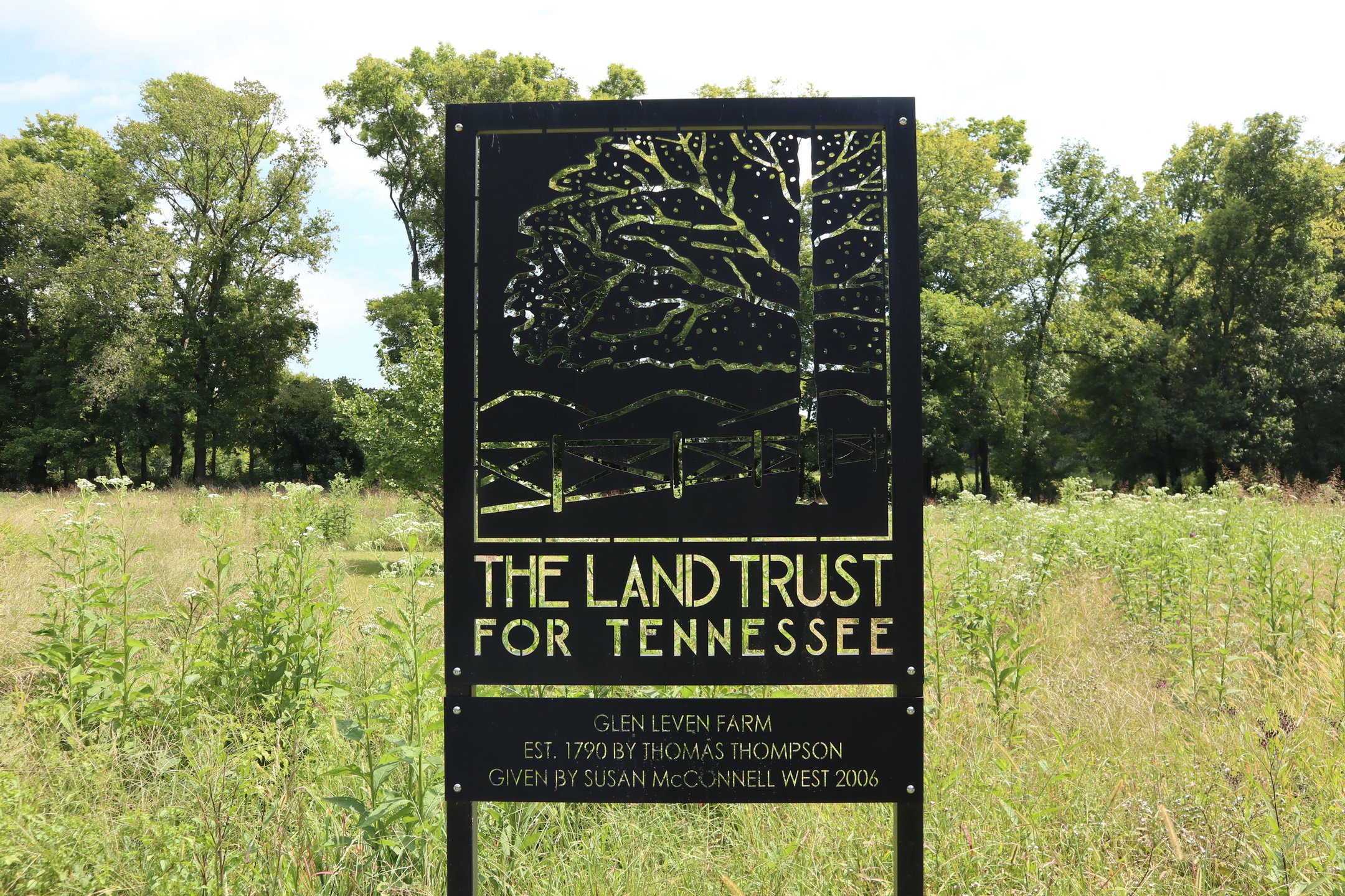 Music City Disc Golf Events Nashville Tennessee UDisc Leagues