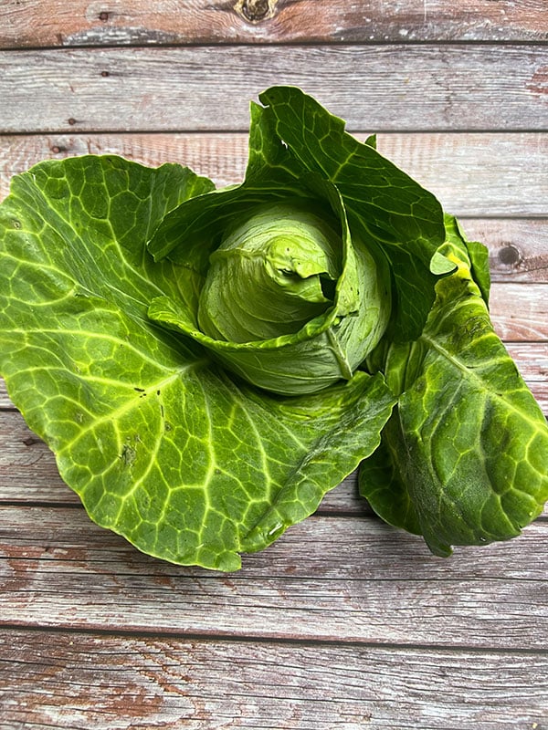 Spitzkohl - der Allrounder unter dem Kohlgemüse | Alles was du wissen ...