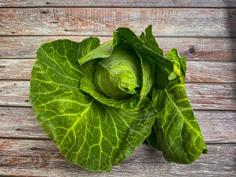 Spitzkohl - der Allrounder unter dem Kohlgemüse | Alles was du wissen ...