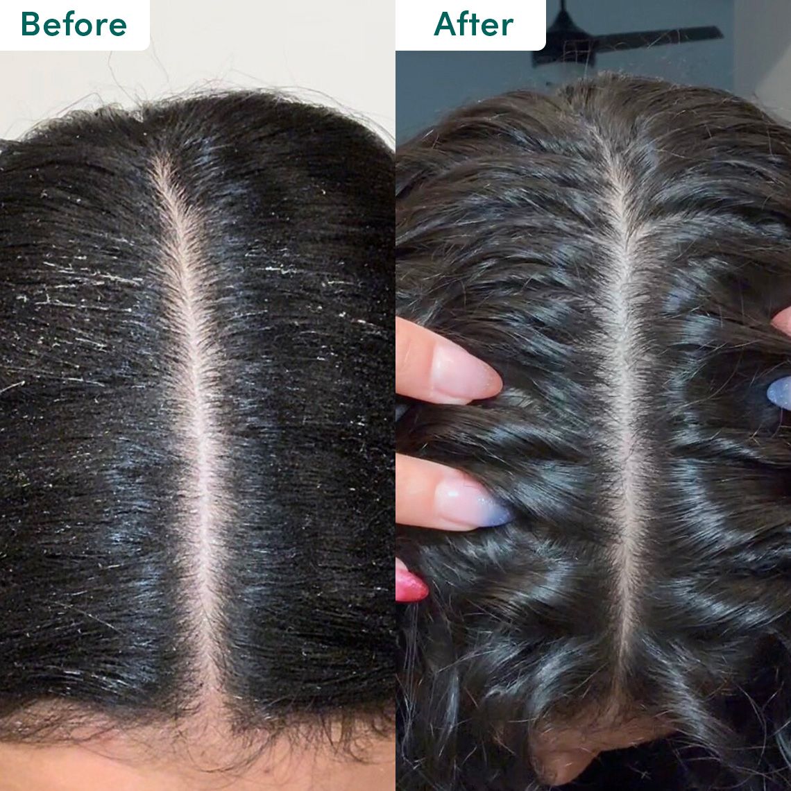 Clarifying Detox Shampoo | Coco & Eve