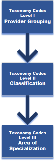 Health Care Provider Taxonomy Codes Version 25.1