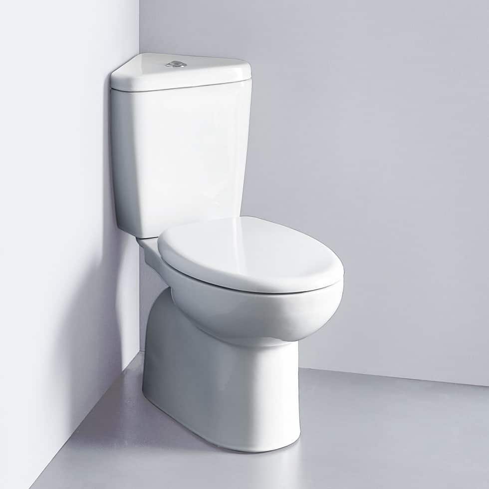 Λεκάνη Επιδαπέδια Bianco Ceramica Delia Rimless — Golden Bath