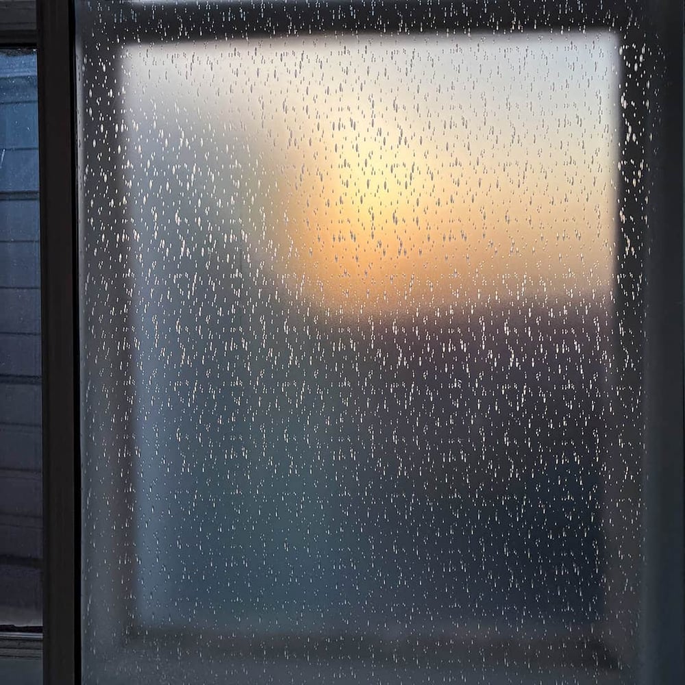 Seeded Frost Window Film | Surface Designs