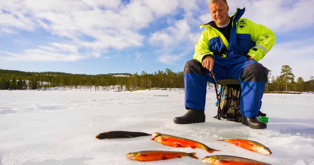Velkommen til fiske i Andrå i Rendalen | inatur.no