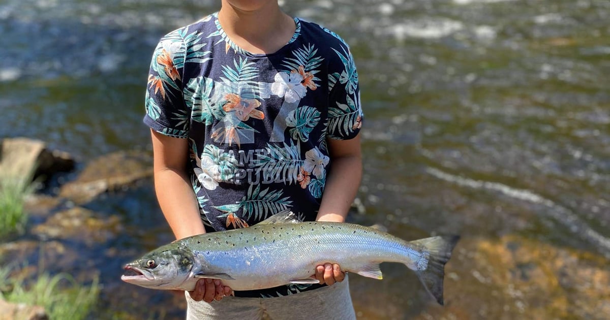 Laksefiske i Lygna (fra munningen til Kvåsfossen) | inatur.no