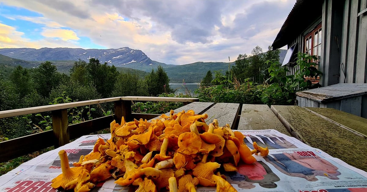 Storvannshytta i Langvassdalen og Ruffedalen naturreservat på ...
