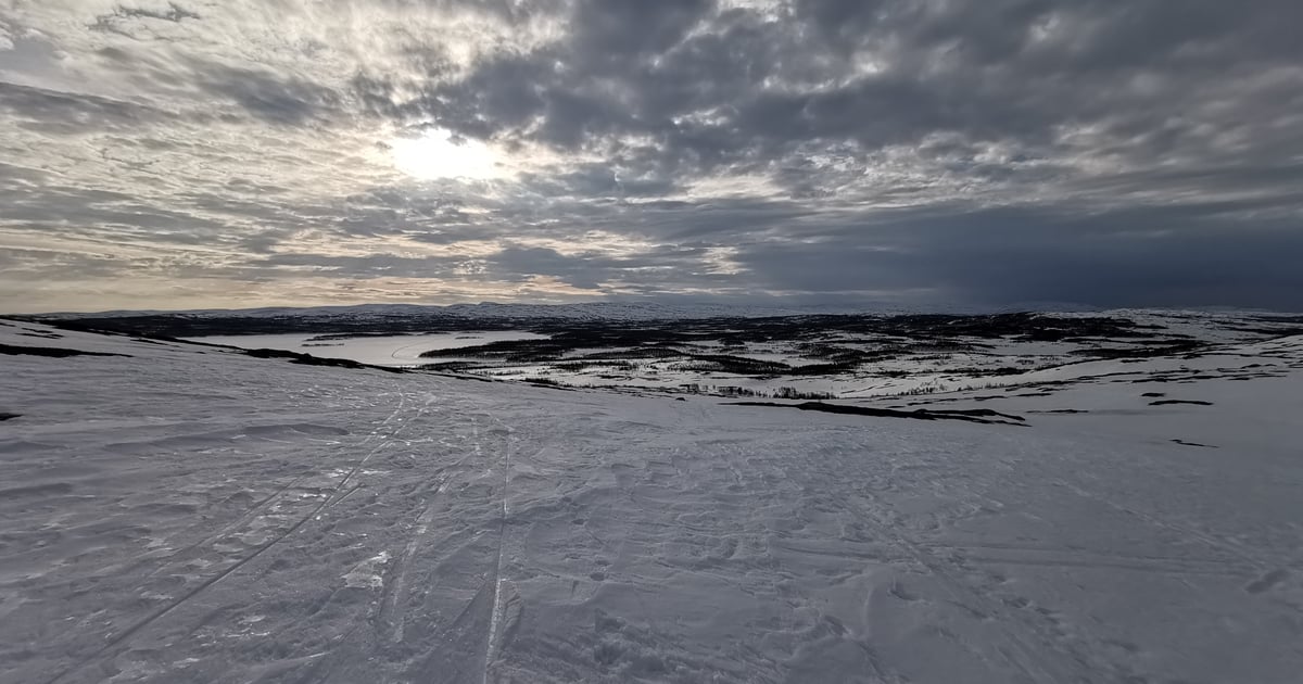 Fiske i Nordre Ridal, Rien Glåma Fiskeområde | inatur.no
